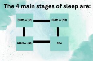What Is Core Sleep And How To Master It? Evidence-Based Guide!